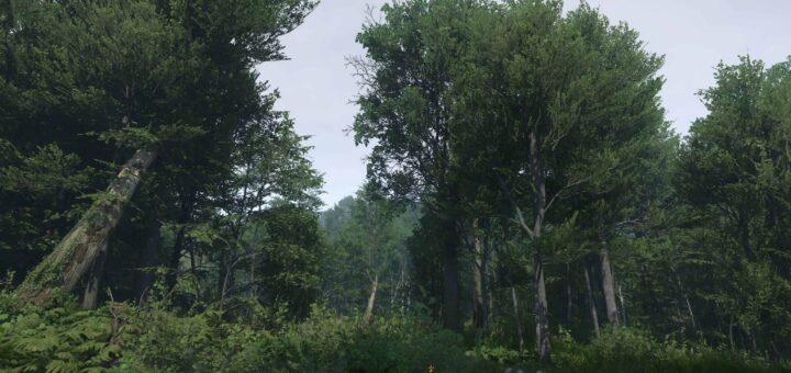 Kingdom Come: Deliverance 2 Mods | KCD2 Mods